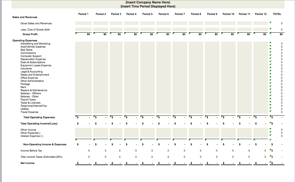 Income Statement and Balance Sheet Template - Eloquens