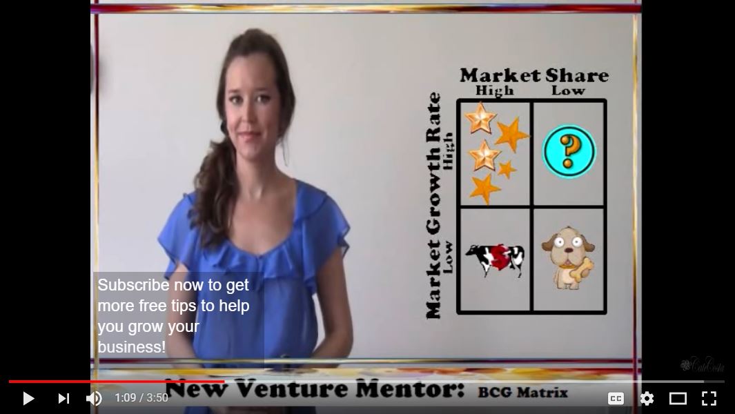 Evaluating Product Lines Using the BCG Matrix - Eloquens