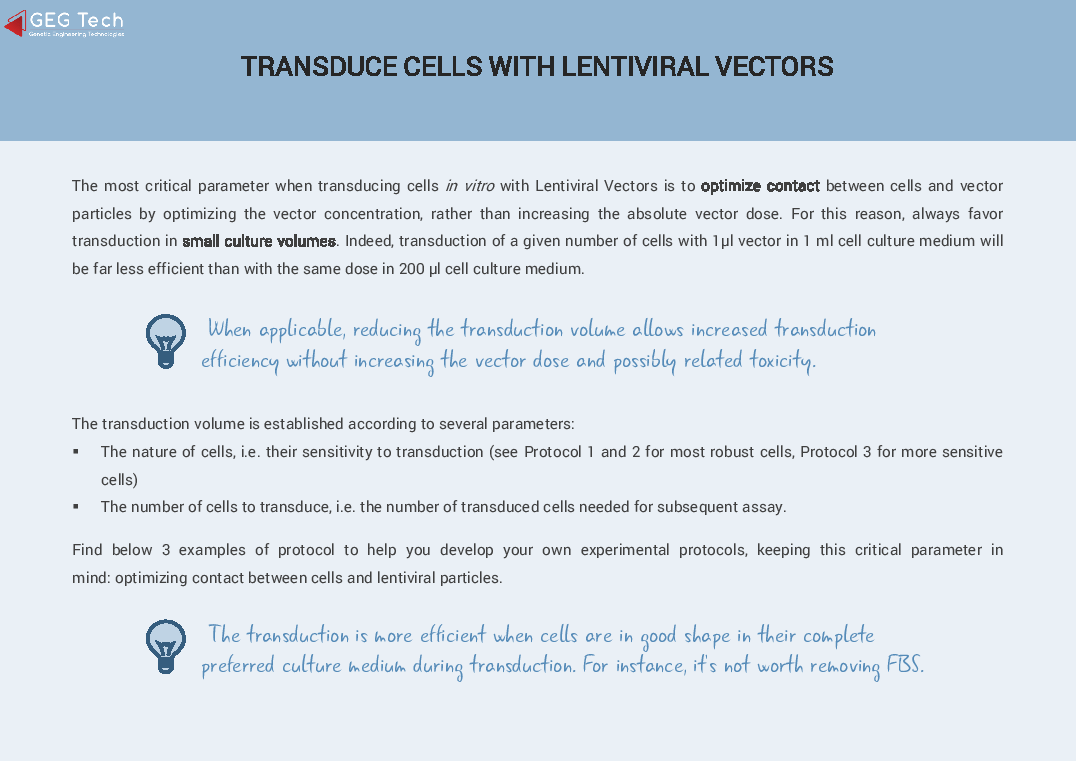 Protocol for cell transduction with Lentiviral Vectors - Eloquens