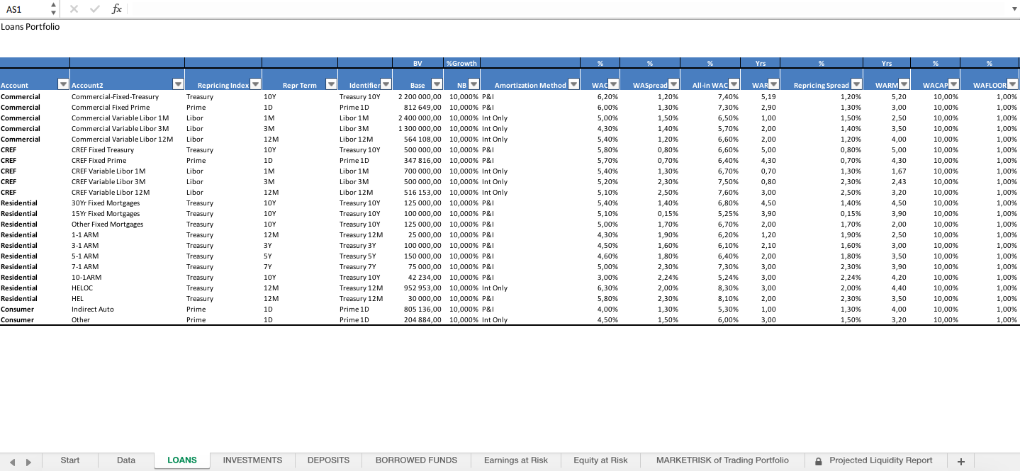 Asset and Liability (ALM) Excel Model - Eloquens