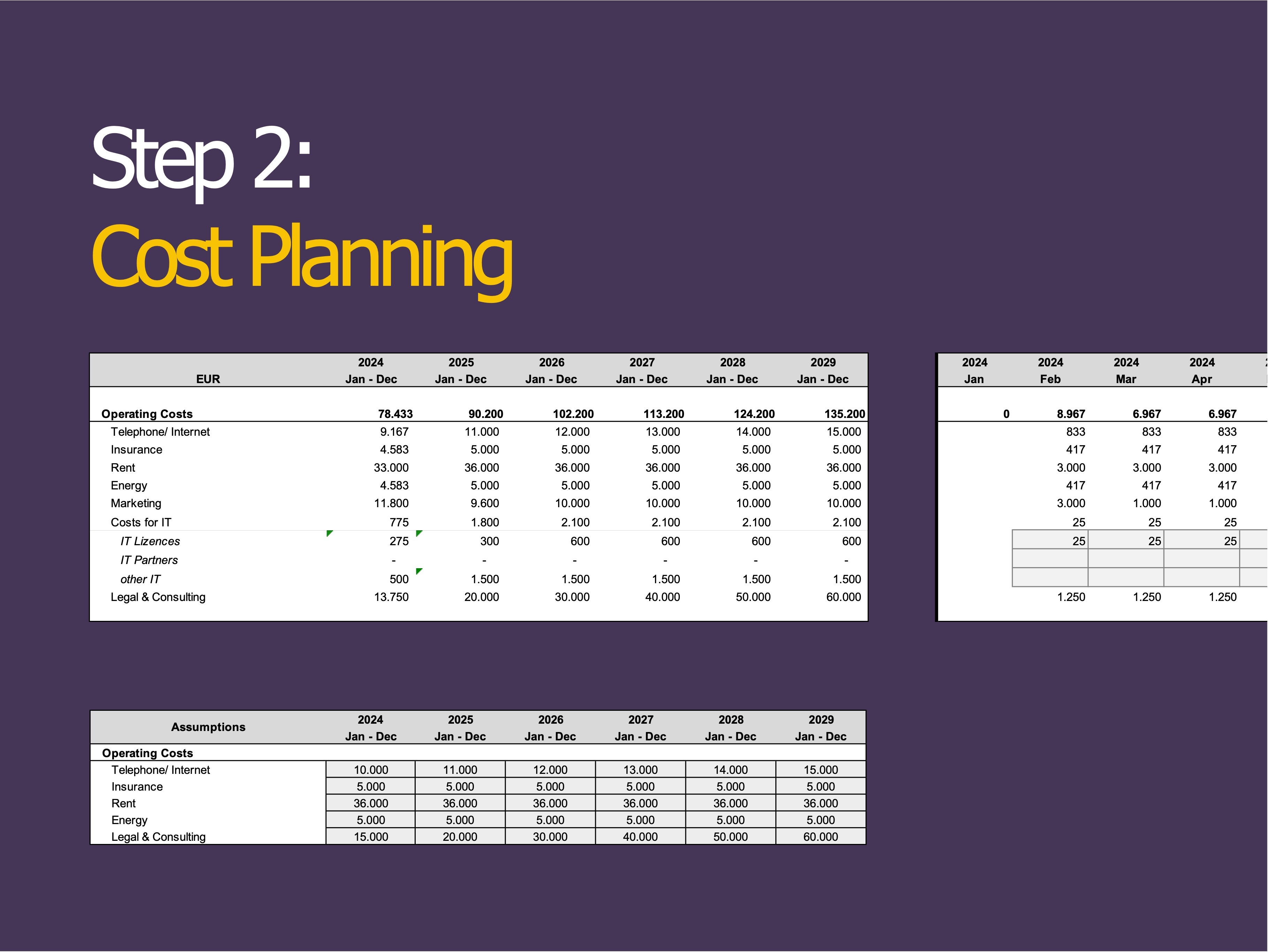 Financial planning - 5-year planning including cost and sales planning ...