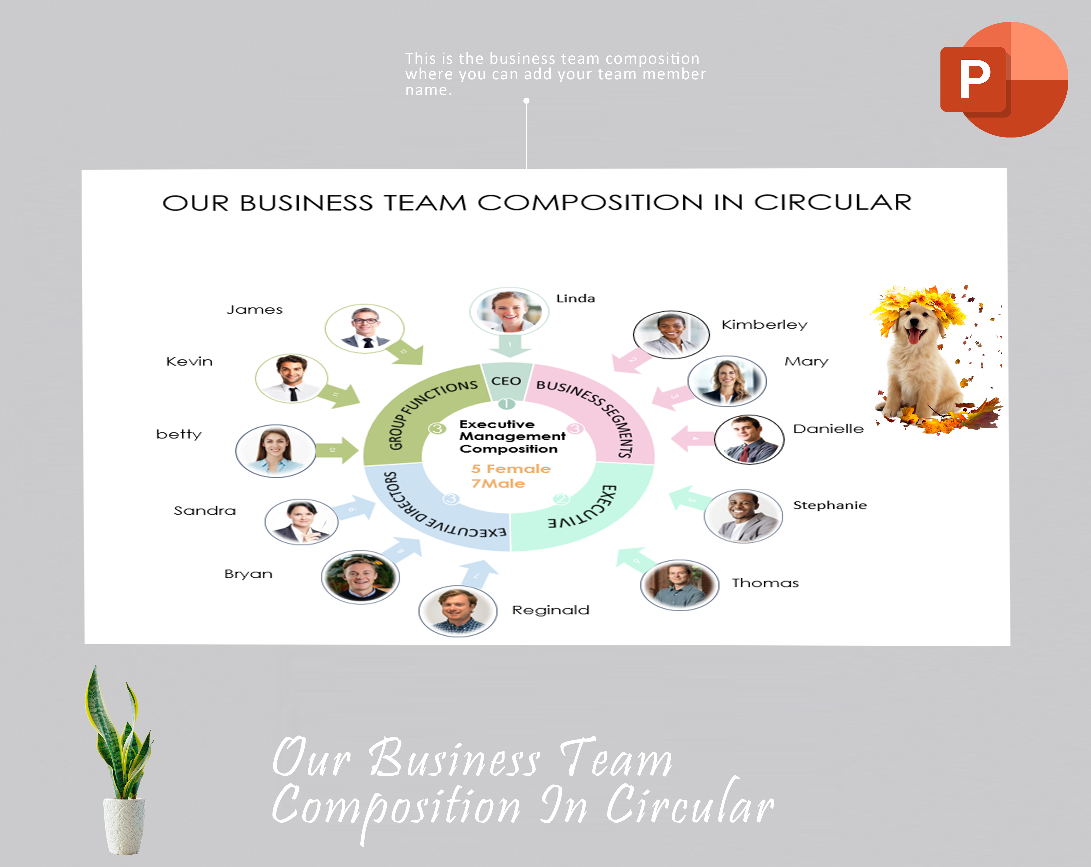 Our Business Team Composition In circular - Eloquens