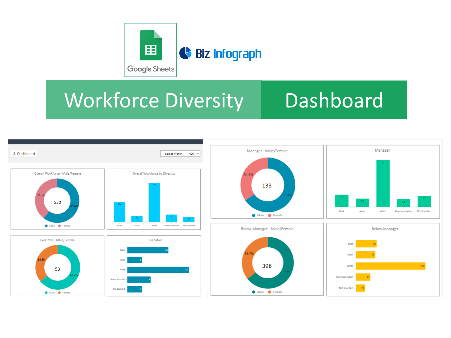 Workforce Diversity Dashboard Template - Eloquens