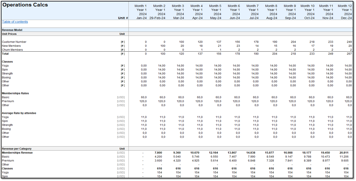 Gym Financial Model and Budget Control - Eloquens