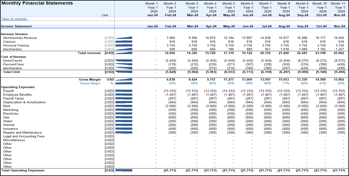 Gym Financial Model and Budget Control - Eloquens