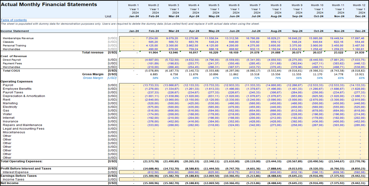 Gym Financial Model and Budget Control - Eloquens