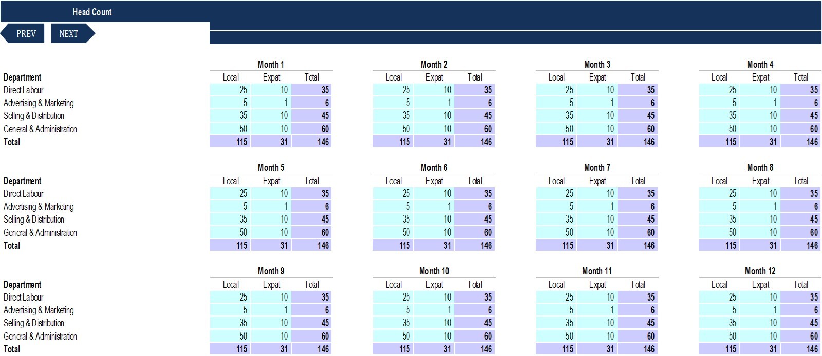 FMCG Distribution Financial Model Bundle - Eloquens