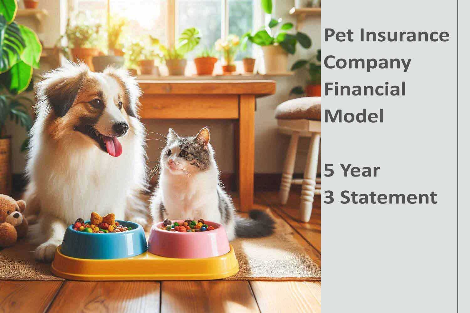 Pet Insurance Financial Model - Eloquens