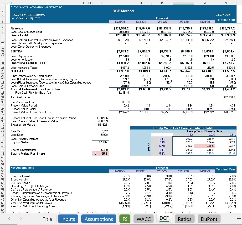 Financial Model with Highly Sophisticated DCF Valuation, Sensitivity and Financial Analysis ...