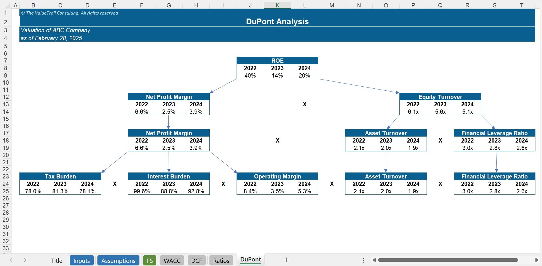 Financial Model with Highly Sophisticated DCF Valuation, Sensitivity and Financial Analysis ...