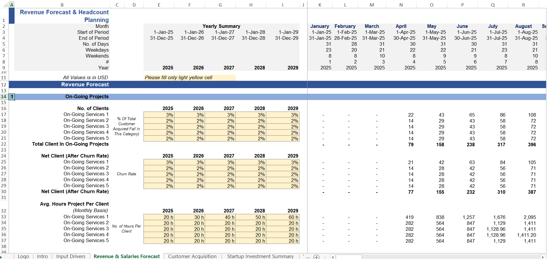 Professional Services Financial Model - Eloquens