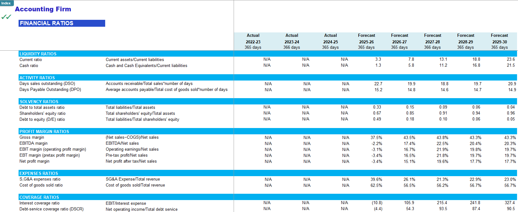 Accounting Firm Financial Forecast Model - Eloquens
