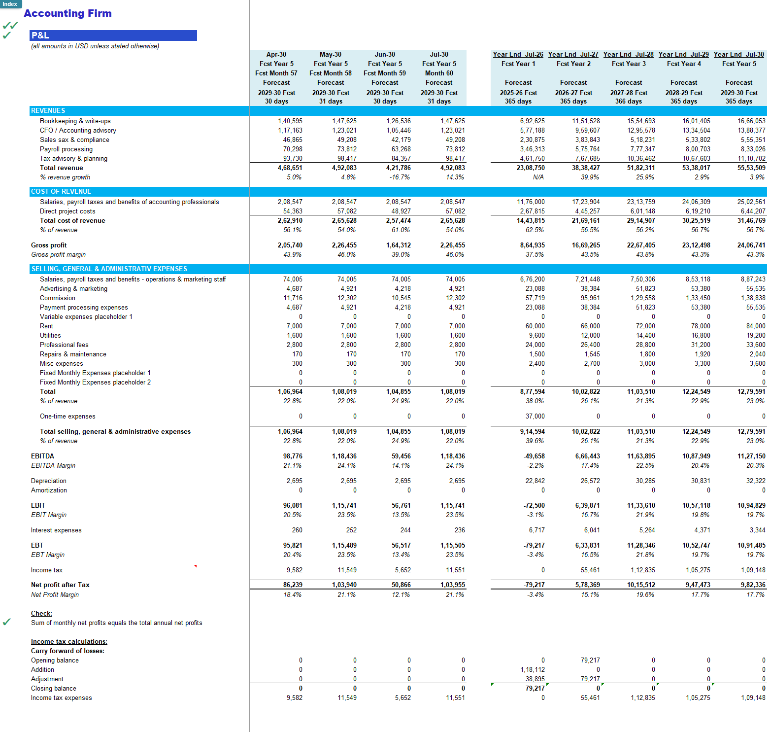 Accounting Firm Financial Forecast Model - Eloquens
