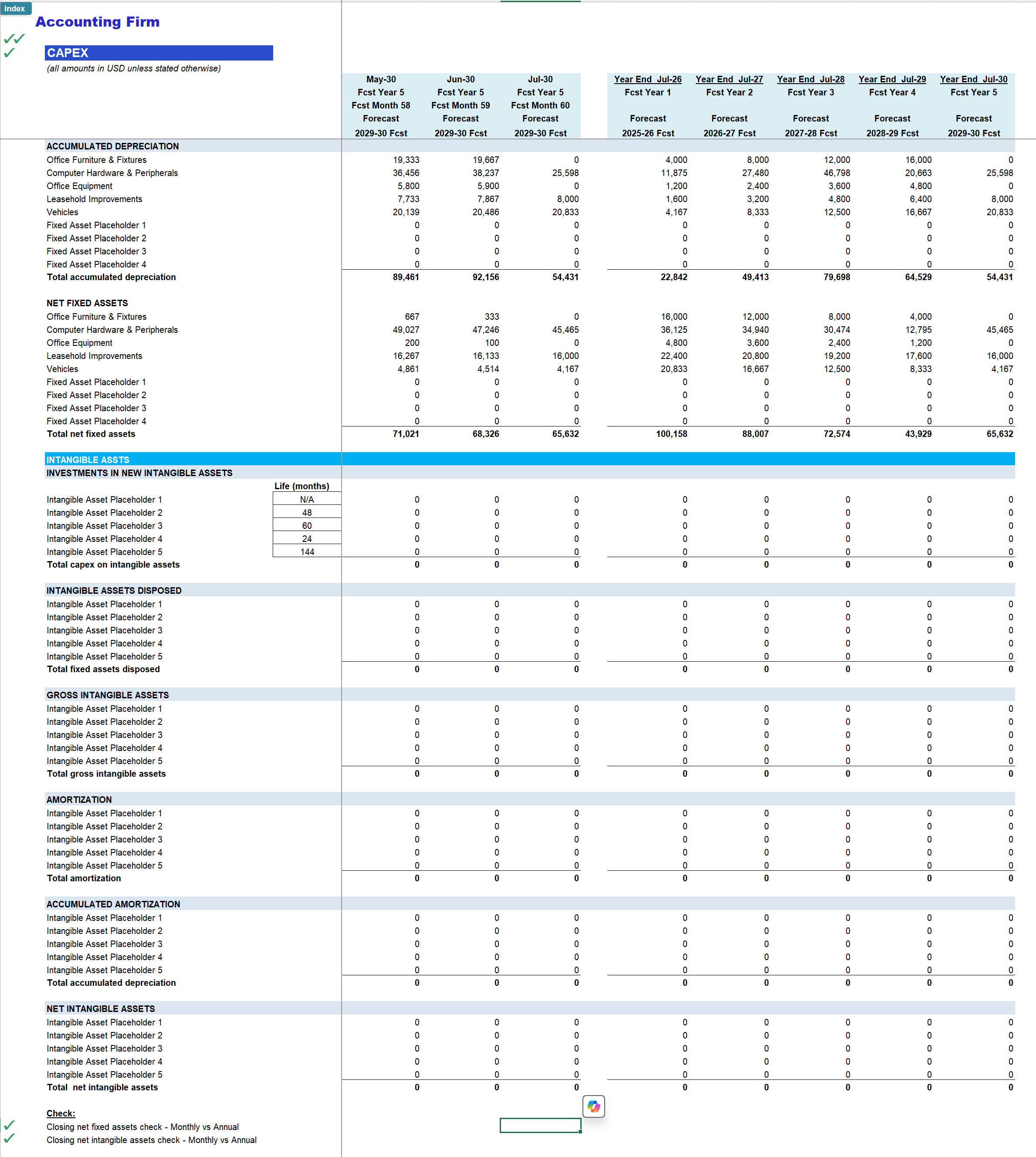 Accounting Firm Financial Forecast Model - Eloquens