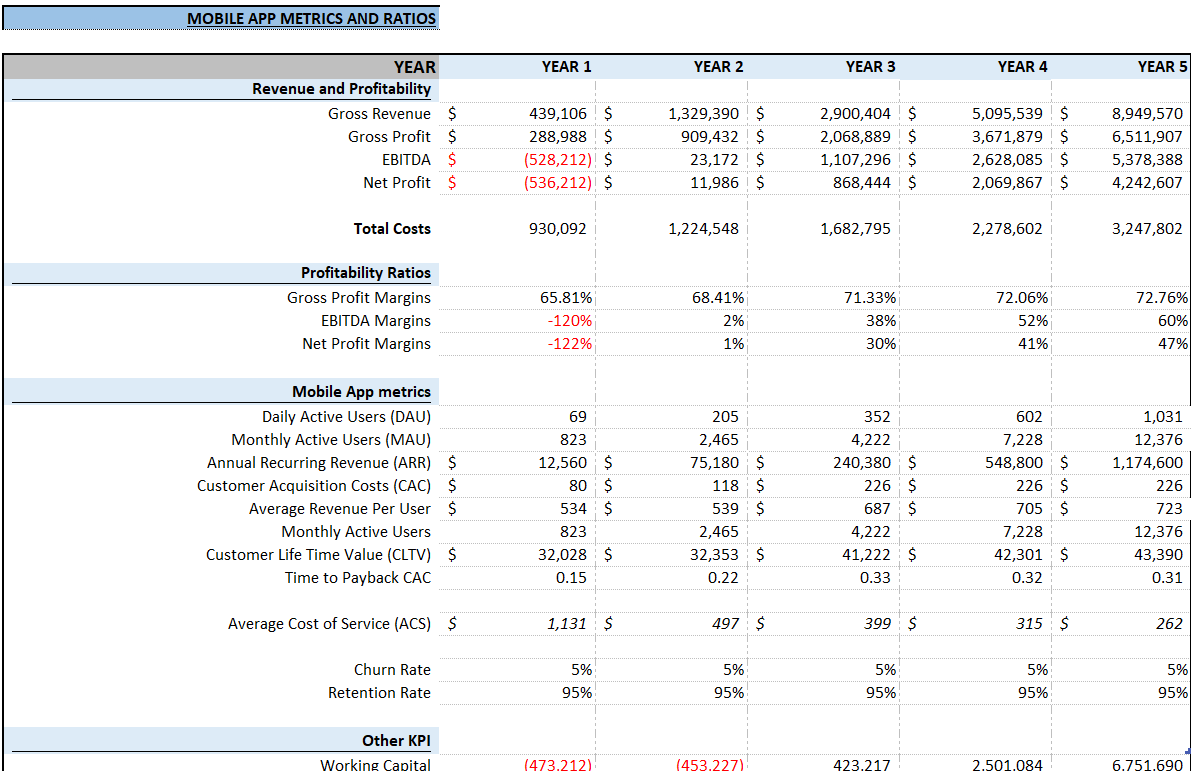 E-Commerce Mobile App Financial Model - Eloquens