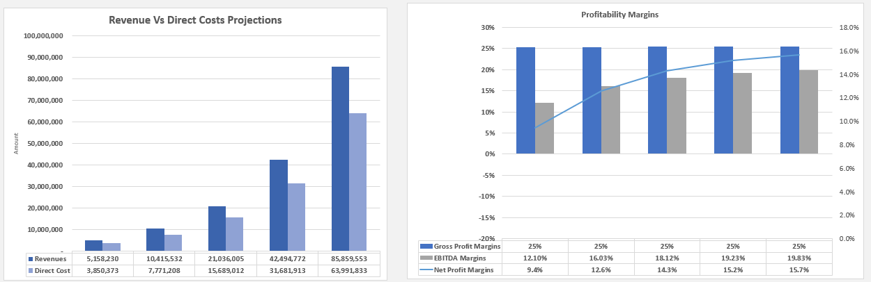Startup Company Financial Model (5 Year Financial Forecast) - Eloquens
