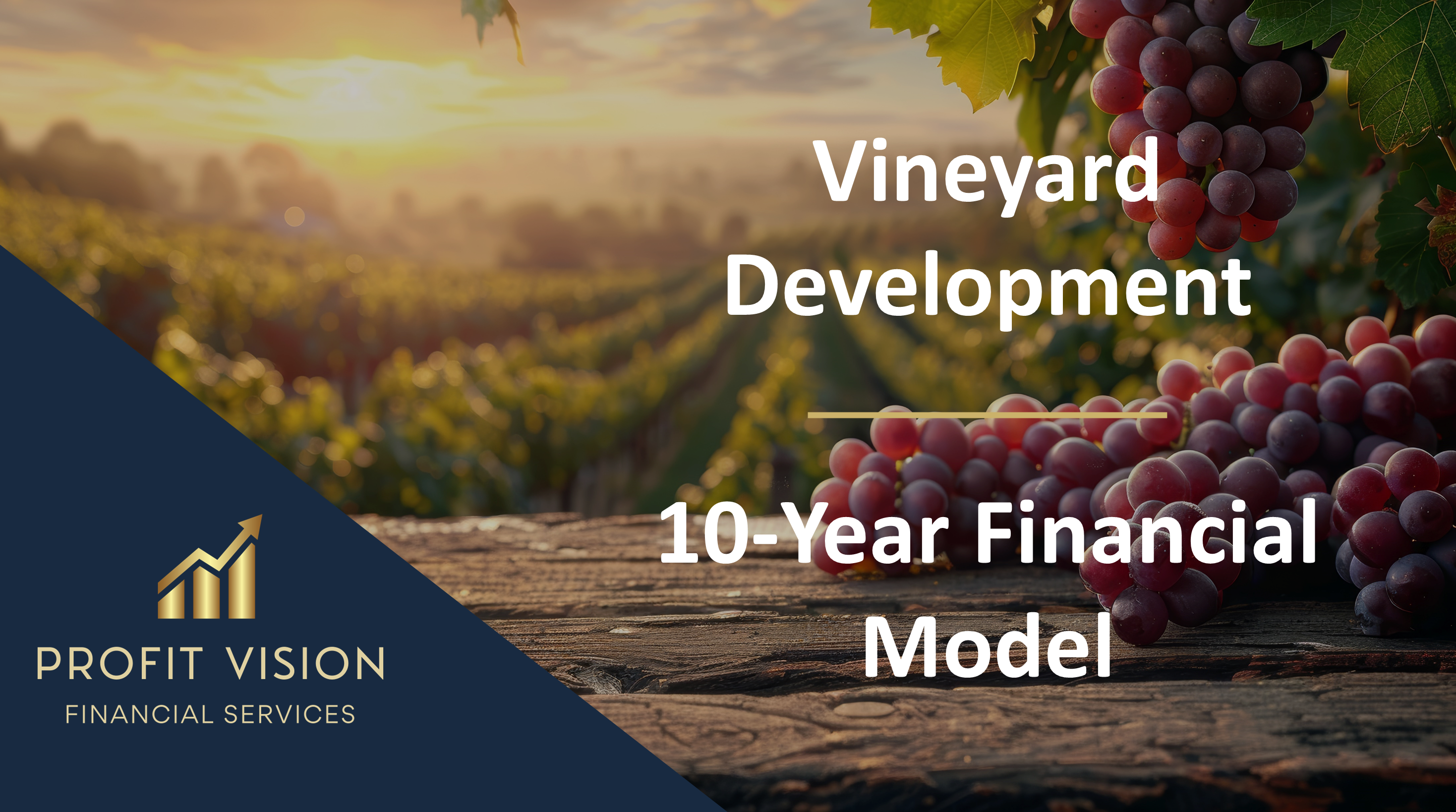 Vineyard Development – 10 Year Financial Model - Eloquens