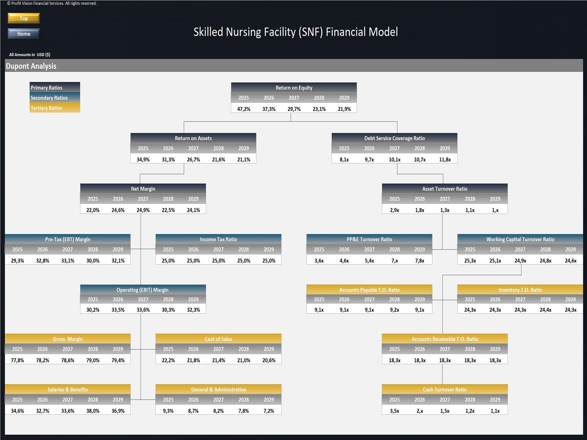 Skilled Nursing Facility (SNF) – 5 Year Financial Model - Eloquens