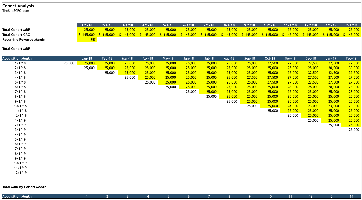 SaaS Cohort Analysis Template Eloquens SaaS Cohort Analysis Template Eloquens