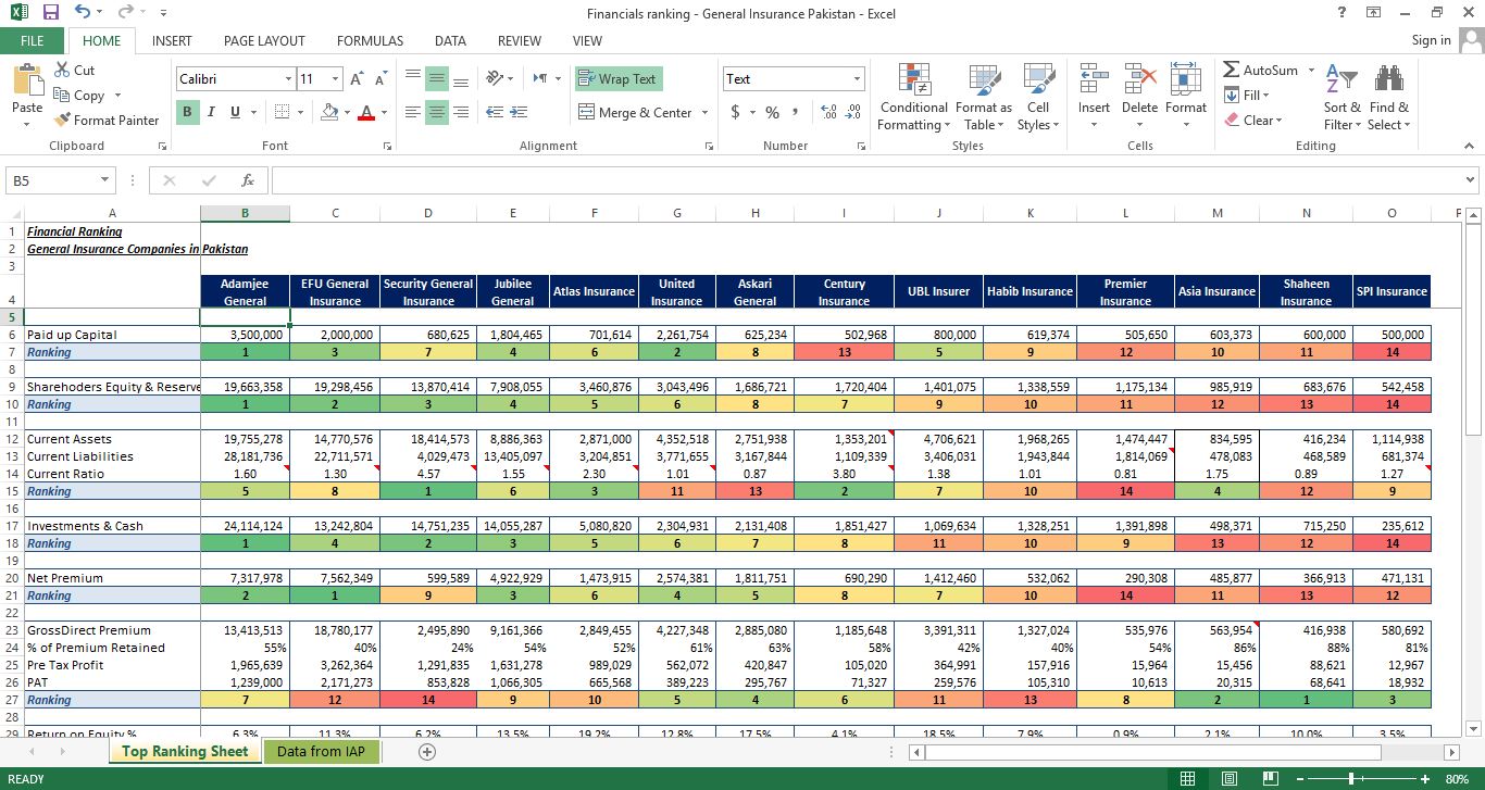 Insurance Panel - Financial Model - Eloquens