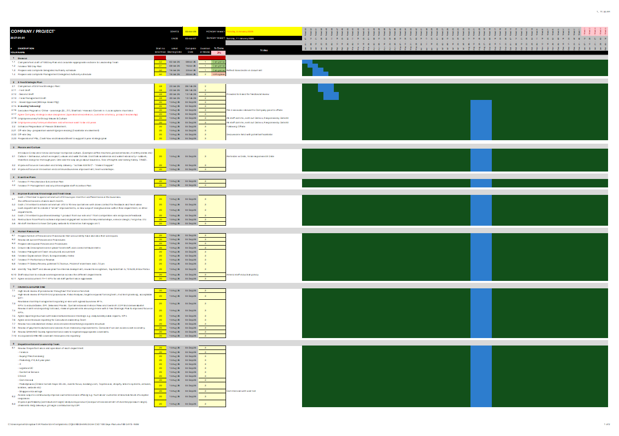 CEO First 100 Days Plan. - Eloquens
