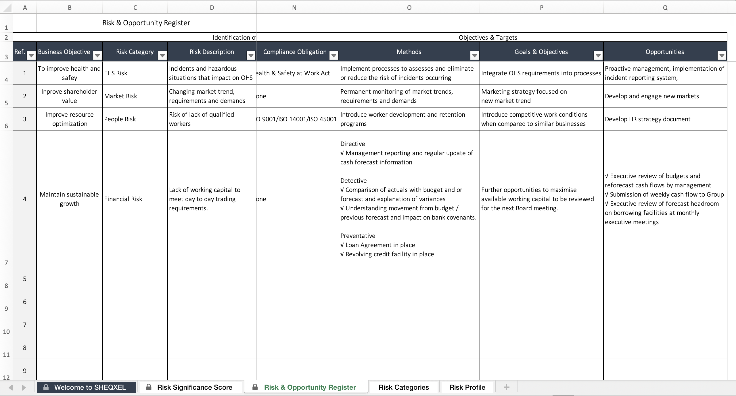 Risk and Opportunity Register - Eloquens