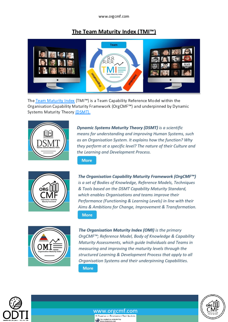 Overview of the Team Maturity Index - Eloquens
