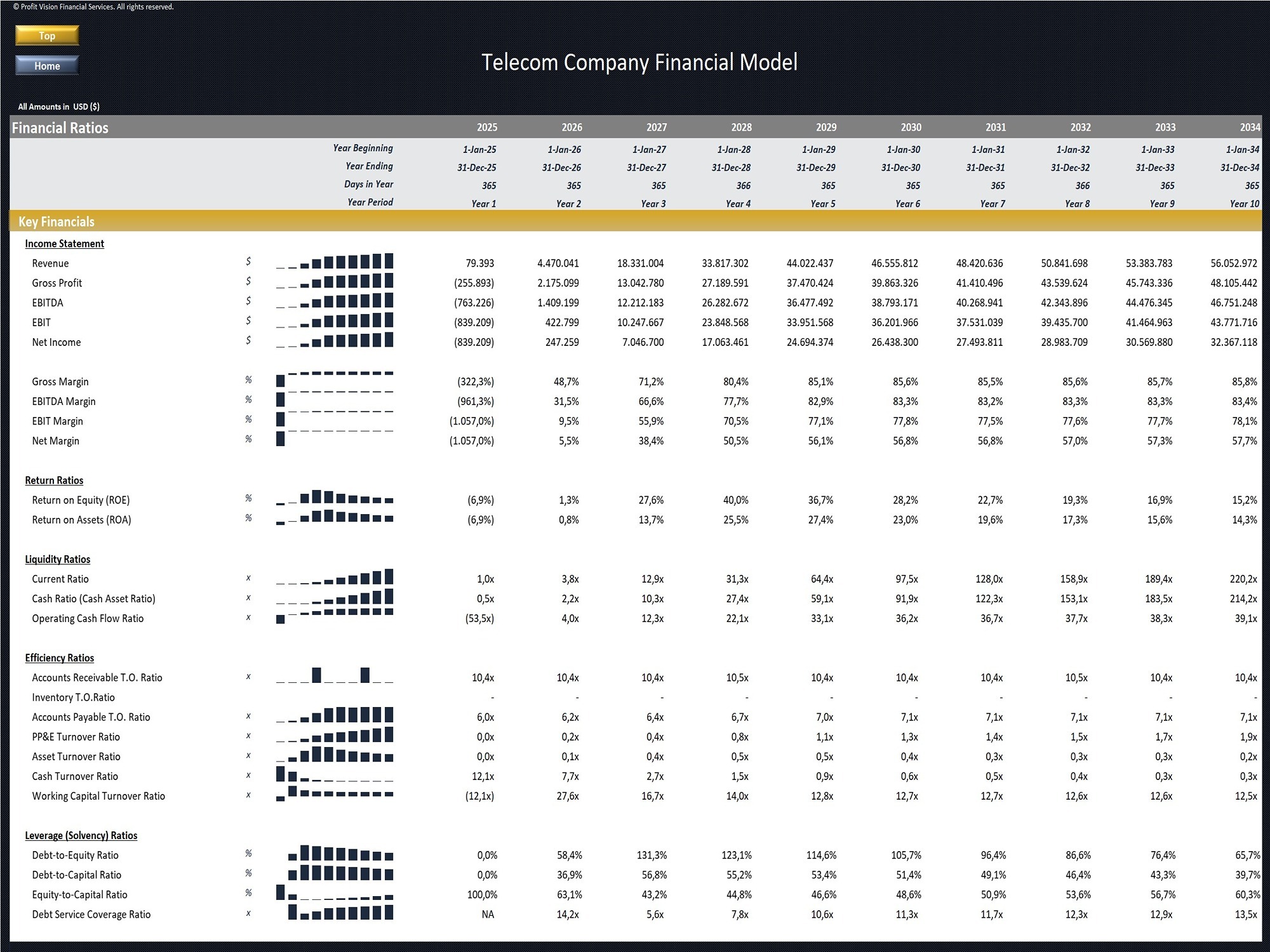 Telecom Company - 10 Year Financial Model - Eloquens