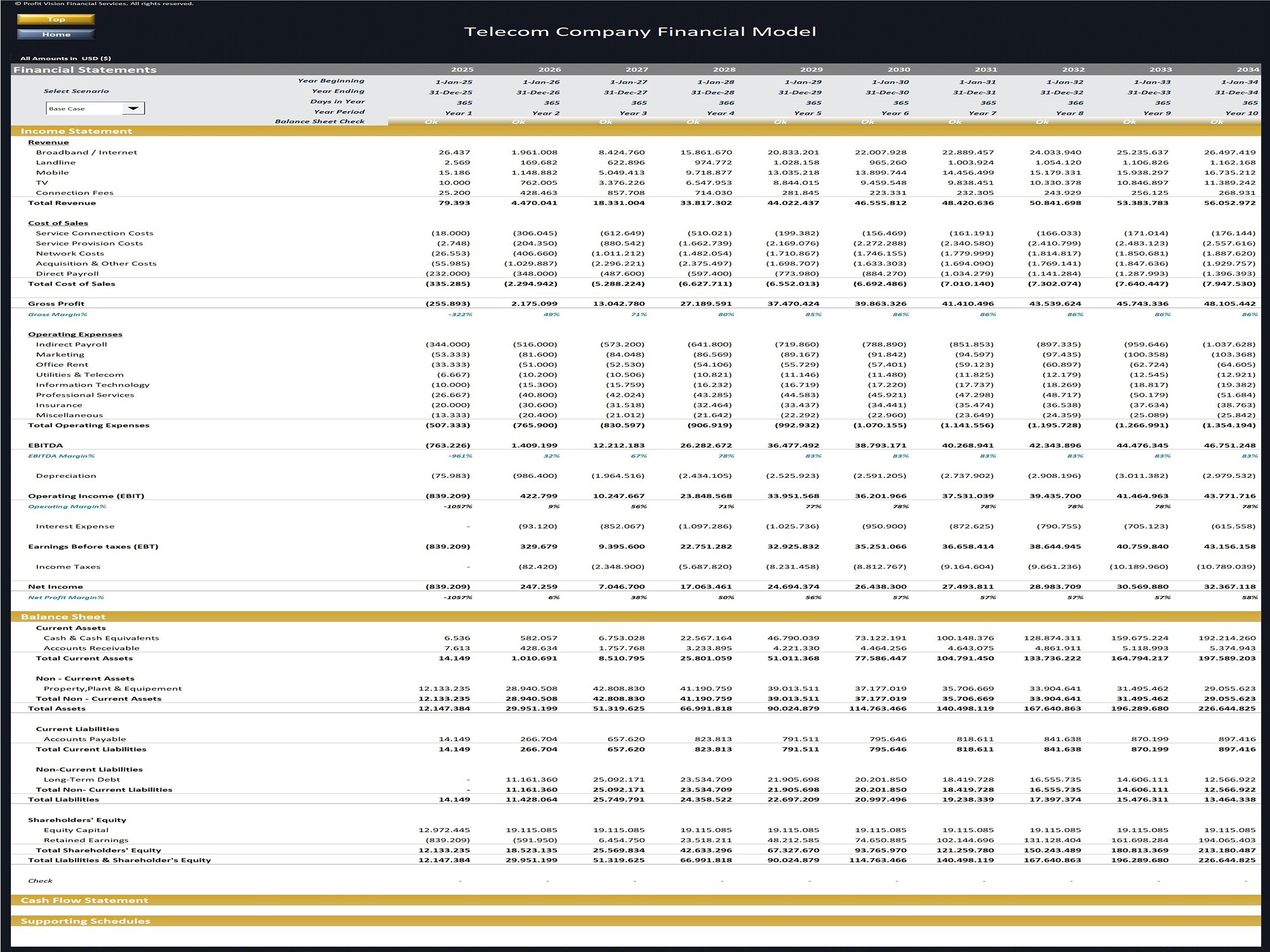 Telecom Company - 10 Year Financial Model - Eloquens
