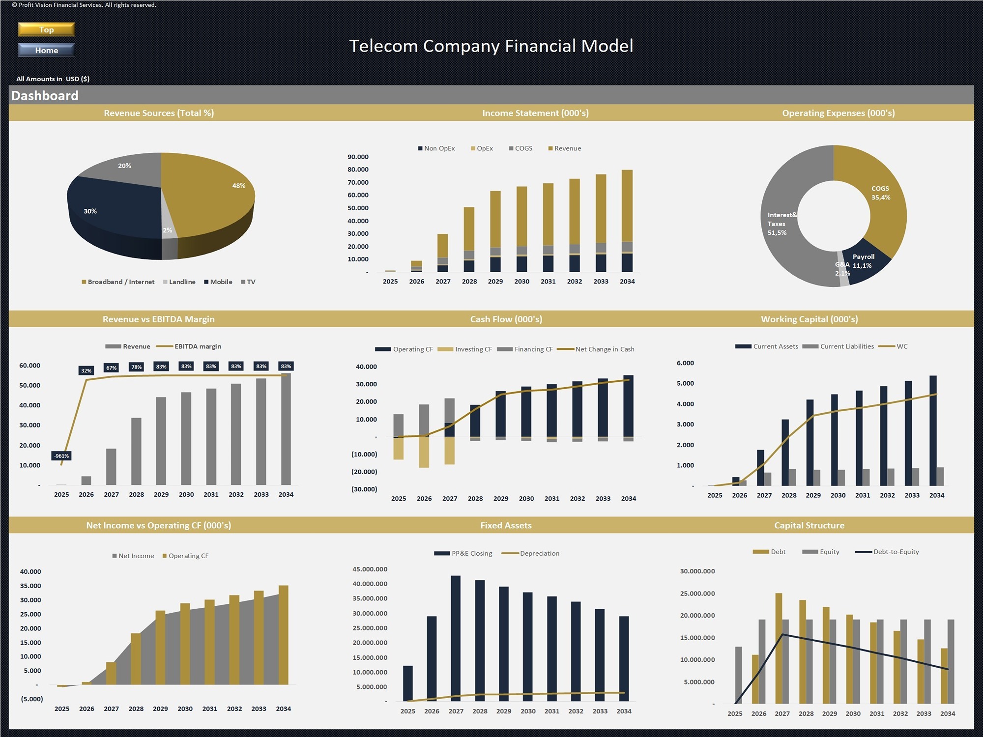Telecom Company - 10 Year Financial Model - Eloquens