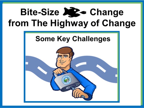 Bite-Size Change - Main Change Management Challenges - Eloquens